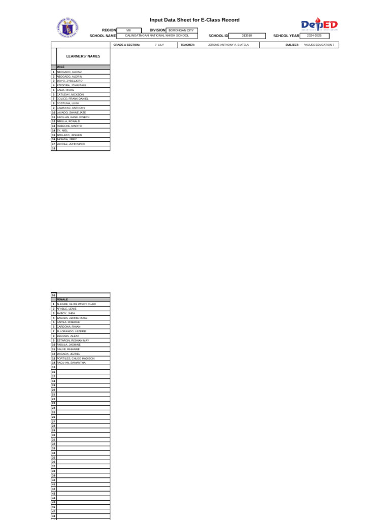 E Class Record Template - Copy 7-Daisy 2024-2025 | PDF