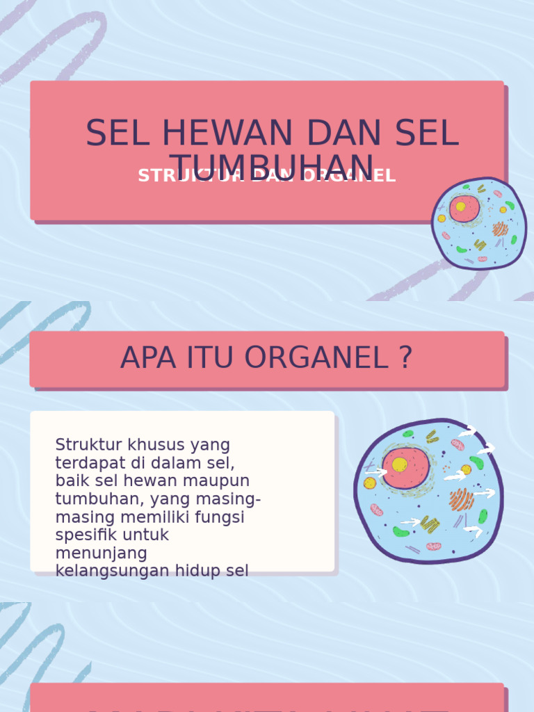 Cell Organelles & Structures Lesson Presentation in Blue and Pink Hand ...