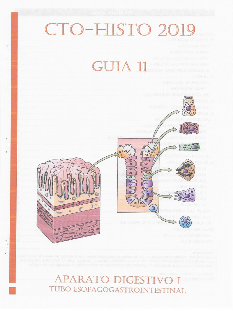 Cto Histologia 11 | PDF