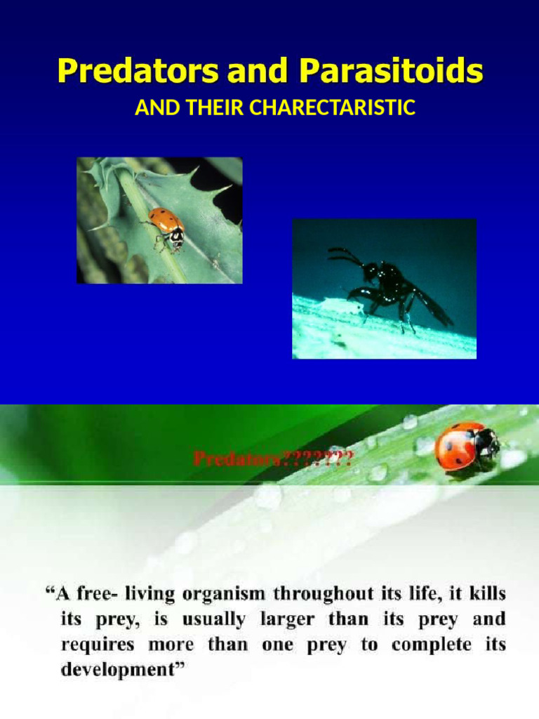Predators & Parasites | PDF