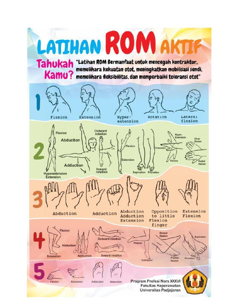 ROM Poster | PDF