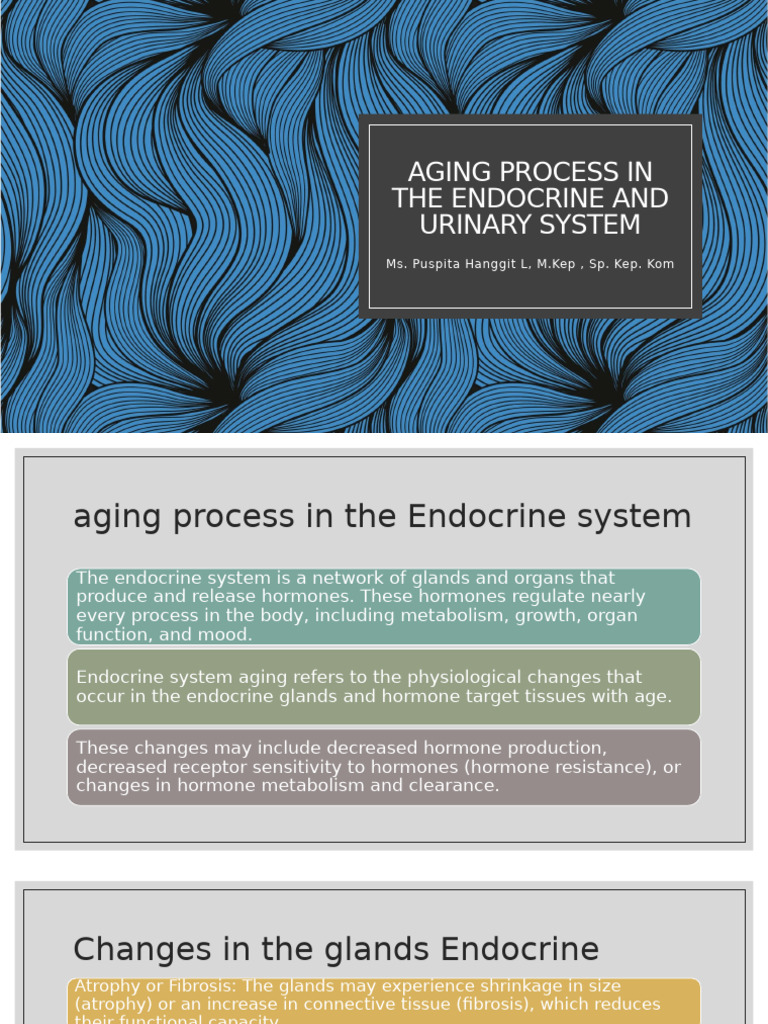 Aging Process in The Endocrine and Urinary System | PDF | Urinary Incontinence | Hormone