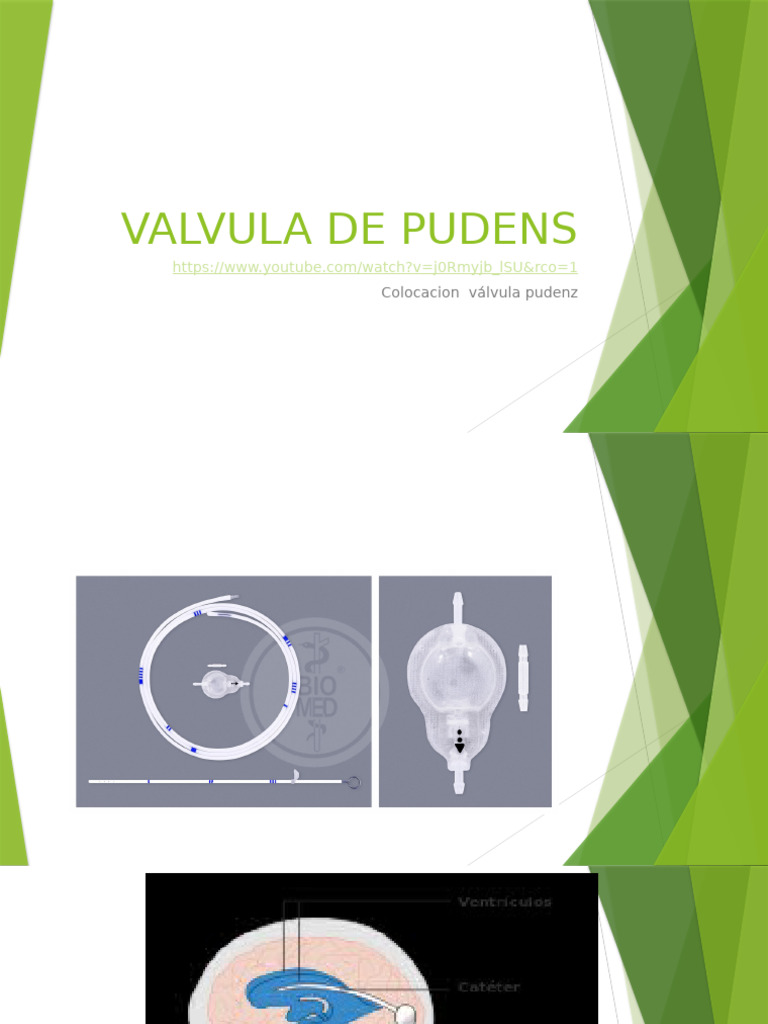 Valvula de Pudens | PDF | Fluido cerebroespinal | Sistema nervioso