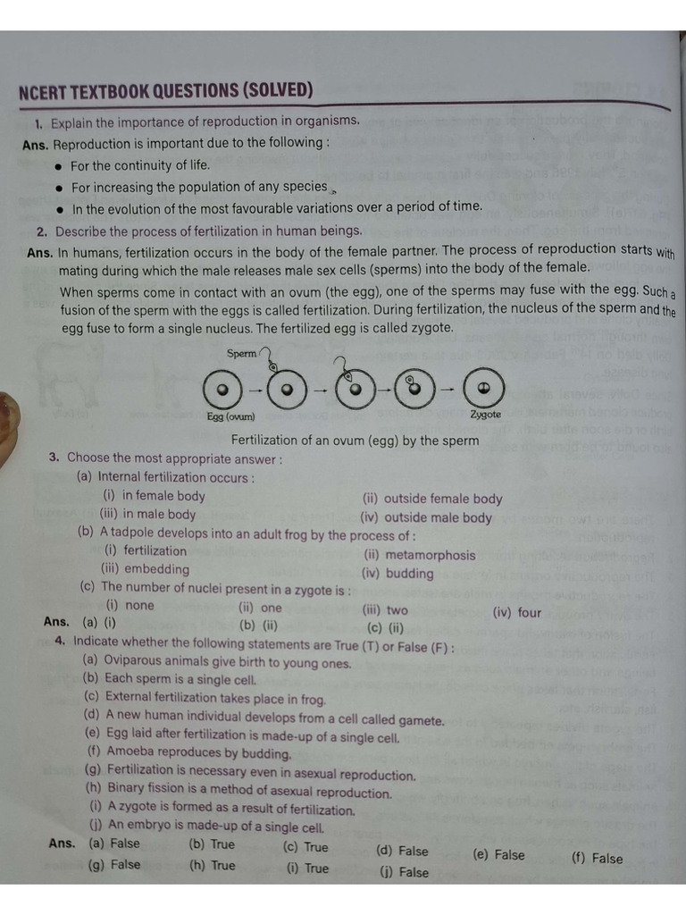 Chapter-4 - Reproduction in Animals | PDF