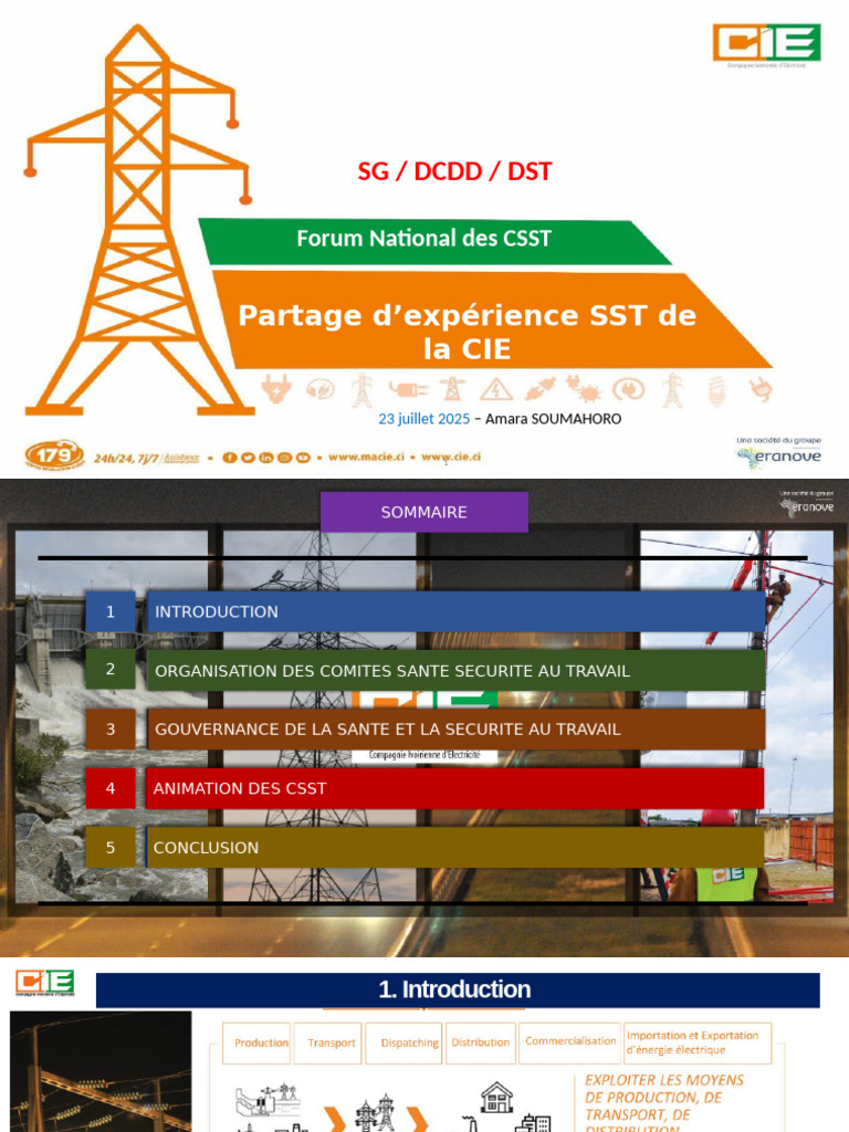 Organisation des CSST à la CIE | PDF | Santé et sécurité au travail ...