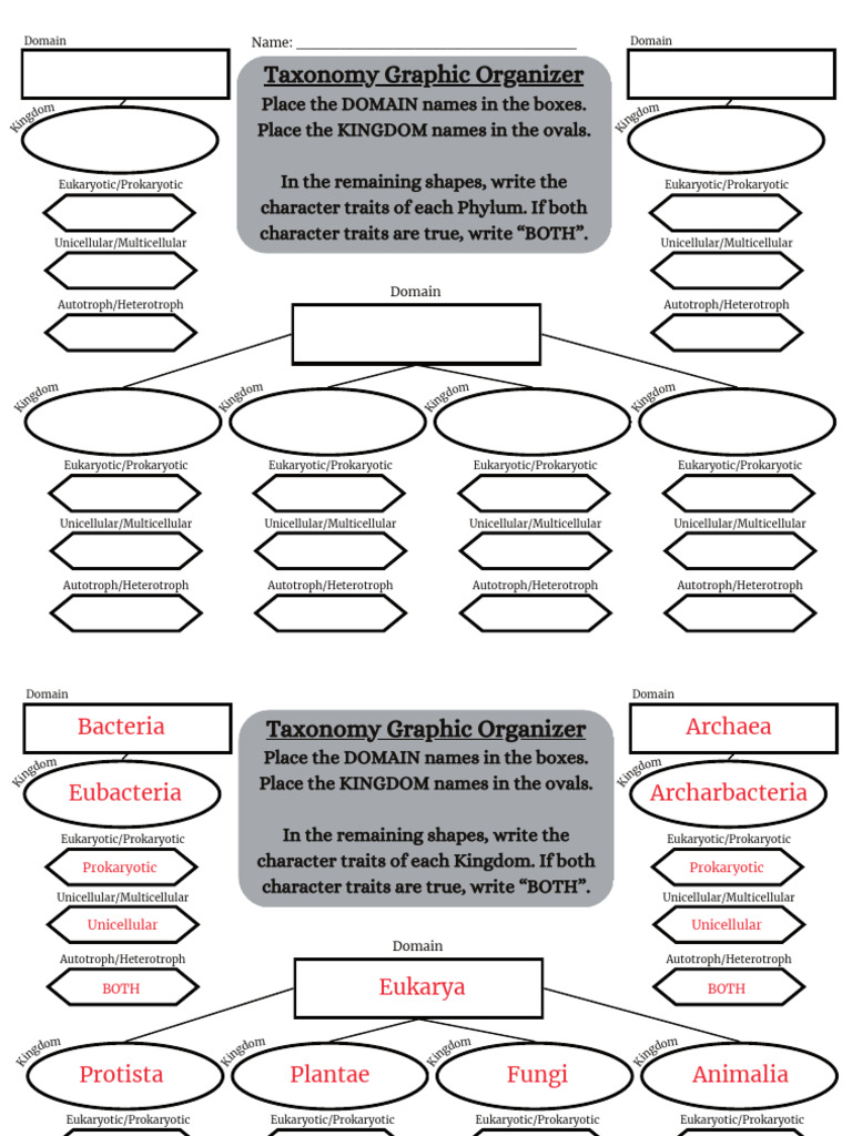 Taxonomy Graphic Organizer Guide | PDF | Eukaryotes | Prokaryote