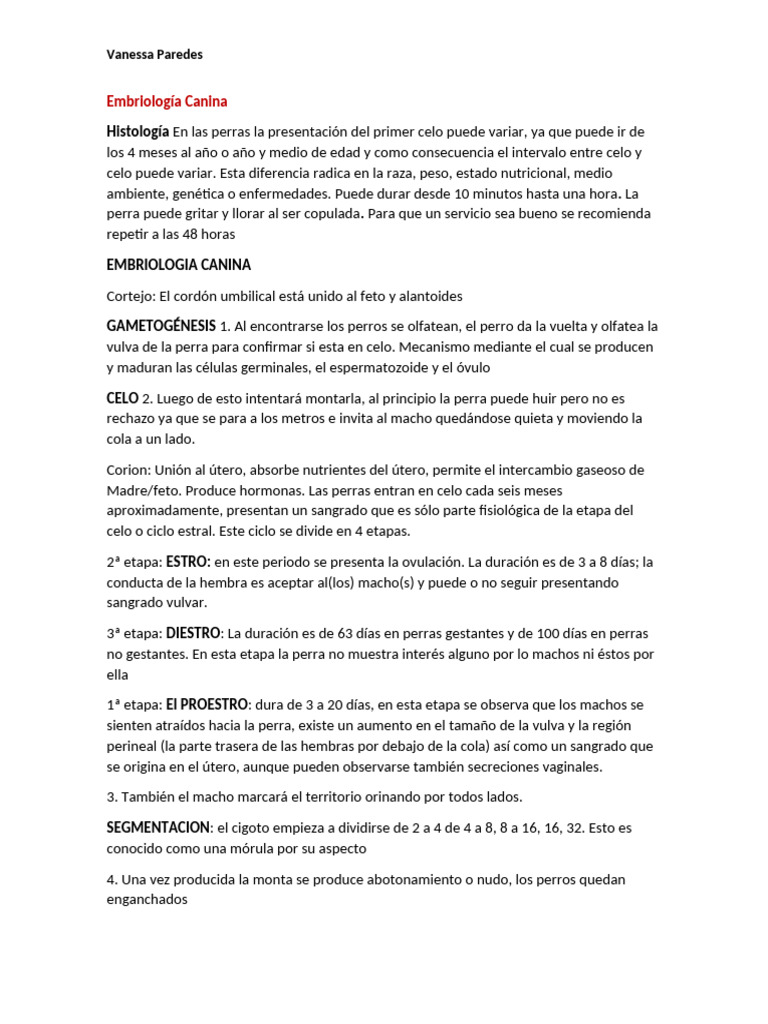 Embriología Canina | PDF | Placenta | Embrión