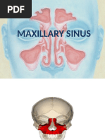 MRI Protocol for Paranasal Sinuses | PDF | Anatomy | Human Anatomy