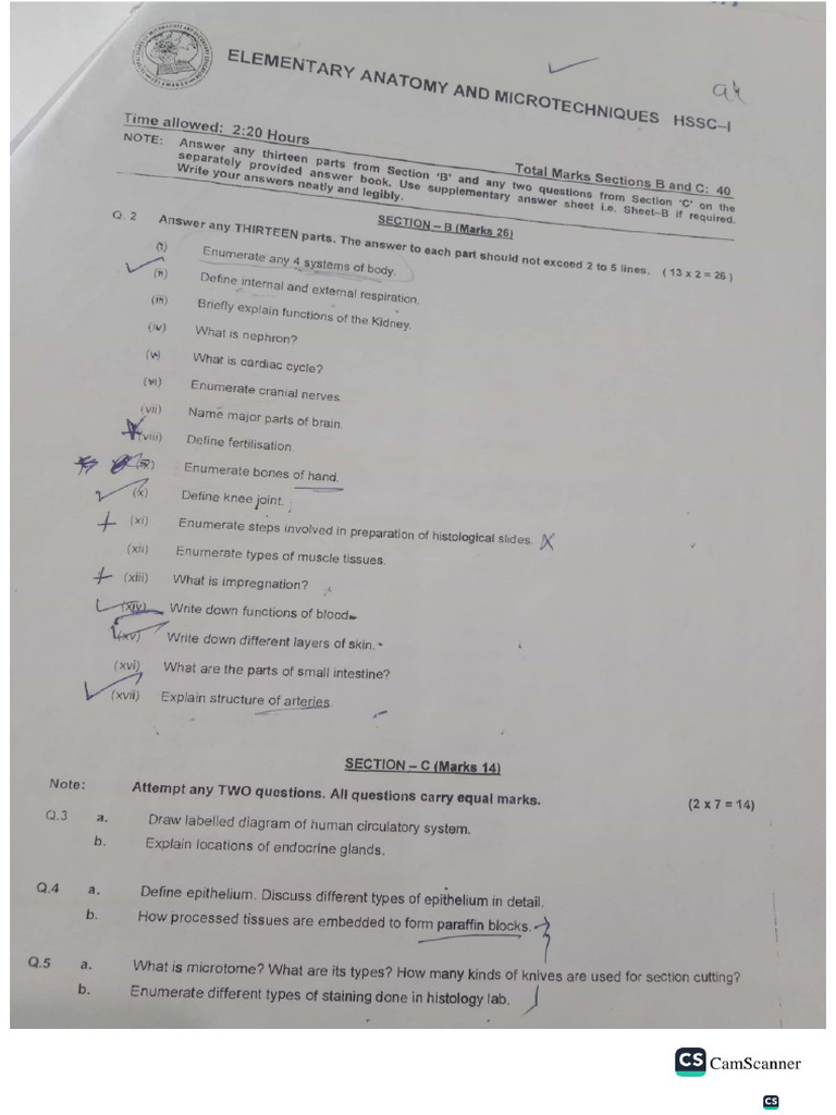 Anatomy Past Paper 3 PDF | PDF