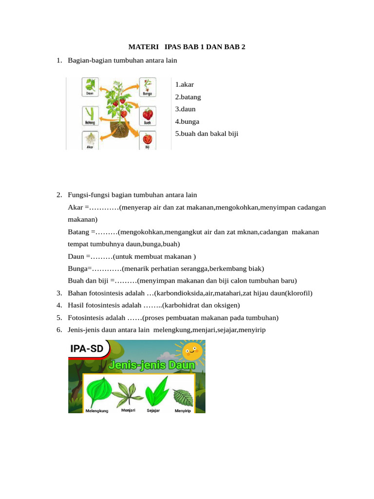Materi Ipas Bab 1 Dan Bab 2 | PDF