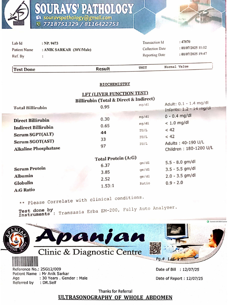 Reports (Lft&usg) | PDF