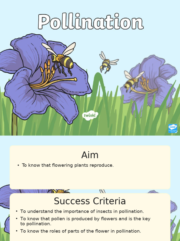 T TP 1626255635 Pollination Powerpoint - Ver - 1 | PDF | Flowers ...