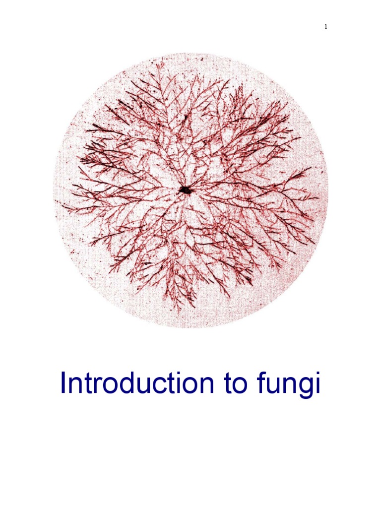 Fungi | Fungus | Lignin