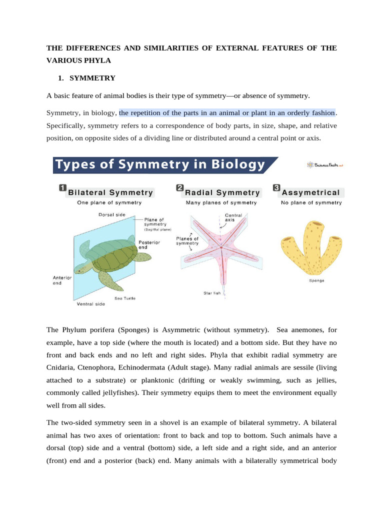 Animal Body Symmetry and Classification | PDF | Zoology | Biology
