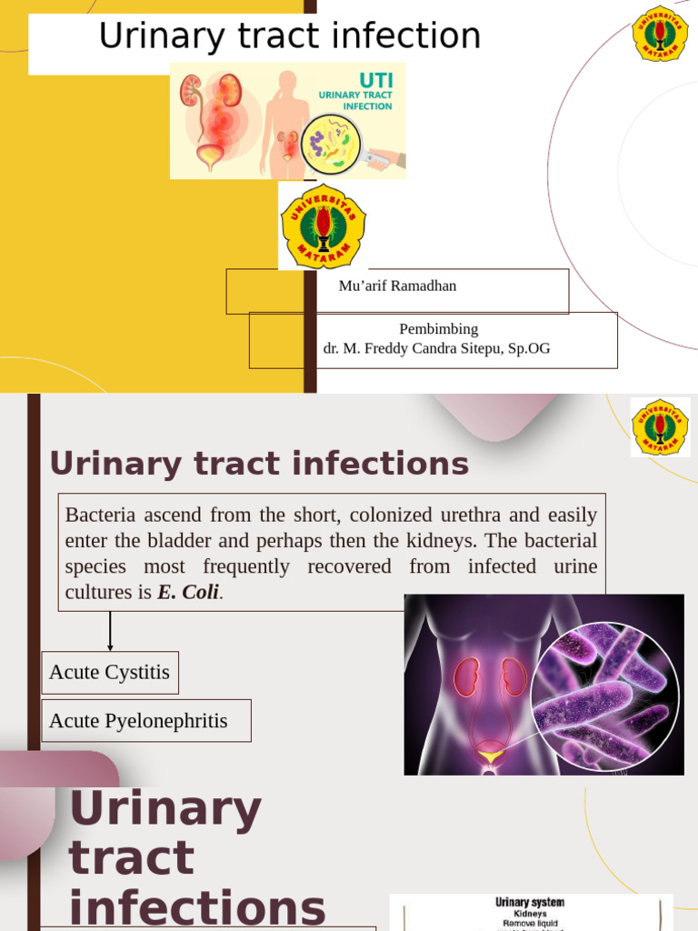 UTI Management Guidelines and Insights | PDF | Urinary Tract Infection ...