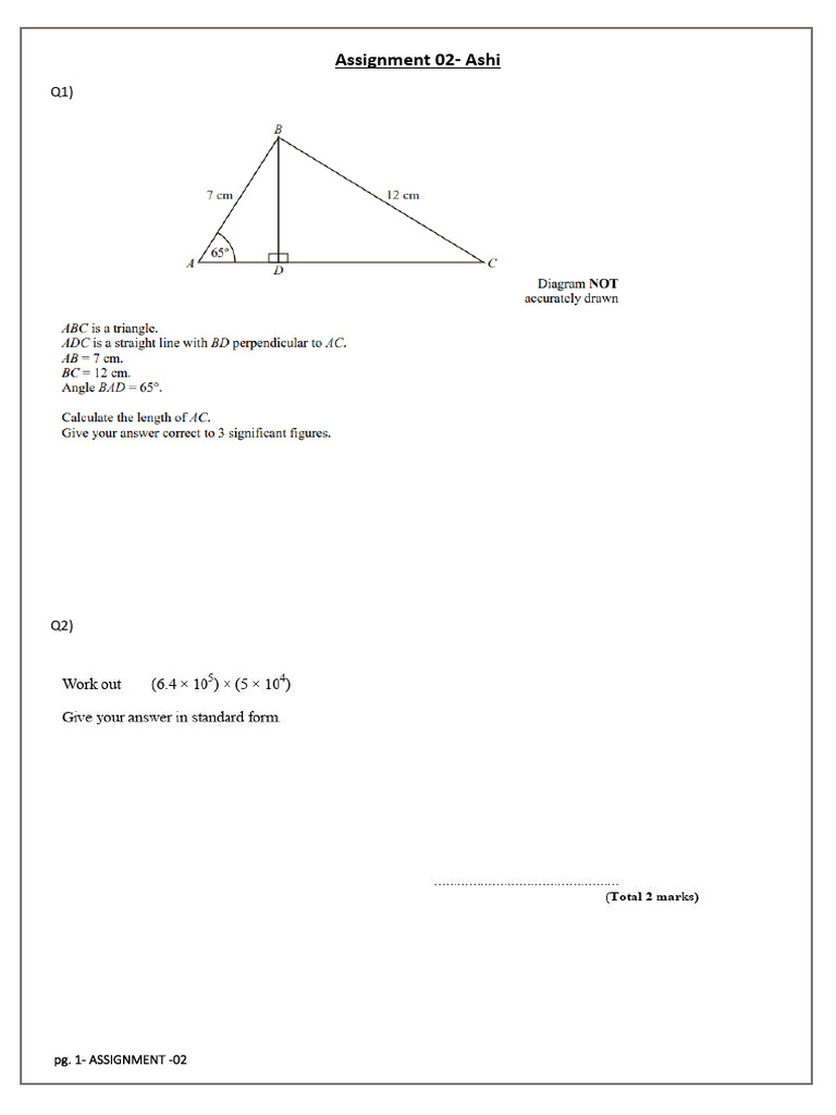 Ashi Assignment 2 | PDF