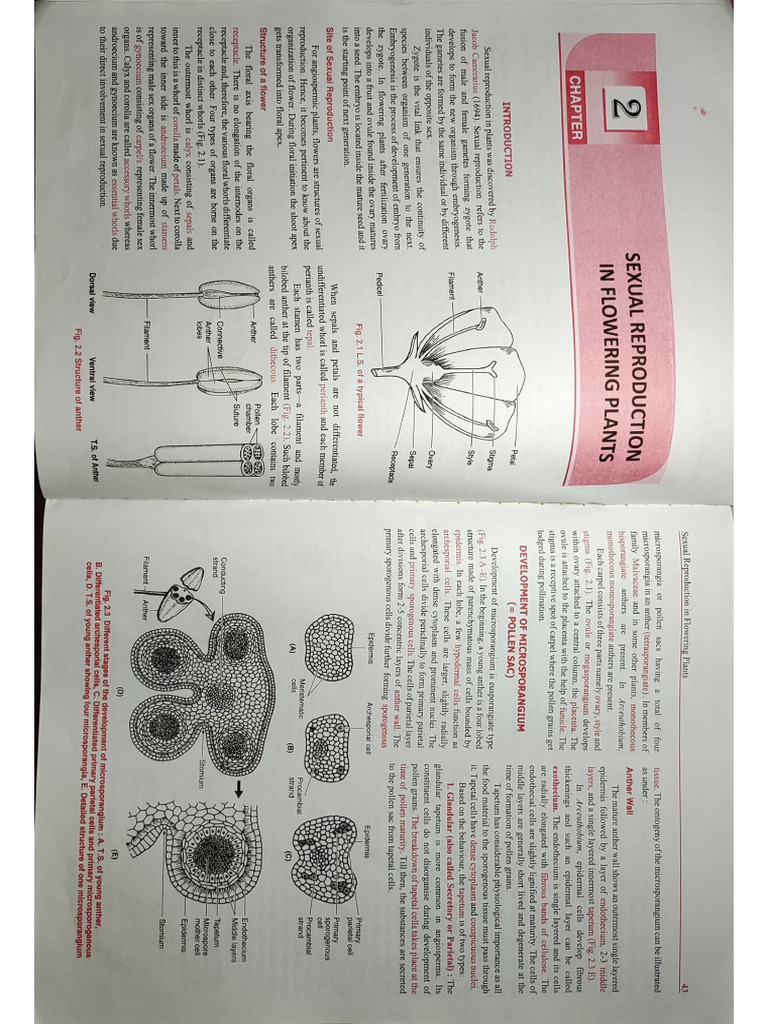 Class 12 Biology Chapter 2 | PDF