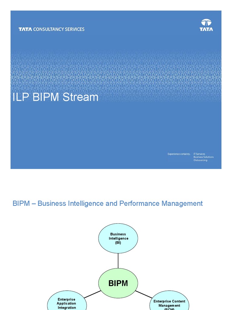 BIPM Stream Orientation | PDF | Business Intelligence | Databases