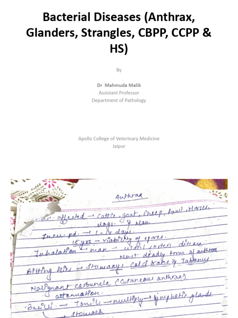 Bacterial Diseases (Anthrax, Strangles - Glanders | PDF | Lipopolysaccharide | Anthrax