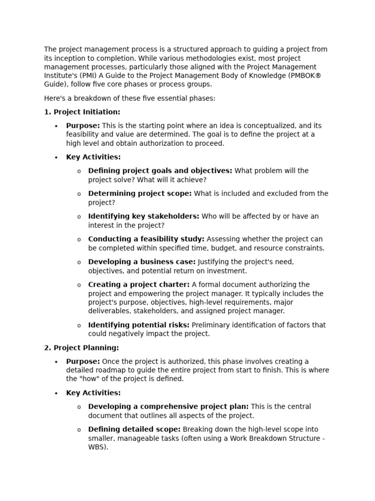 Project Management Process | PDF | Project Management | Business