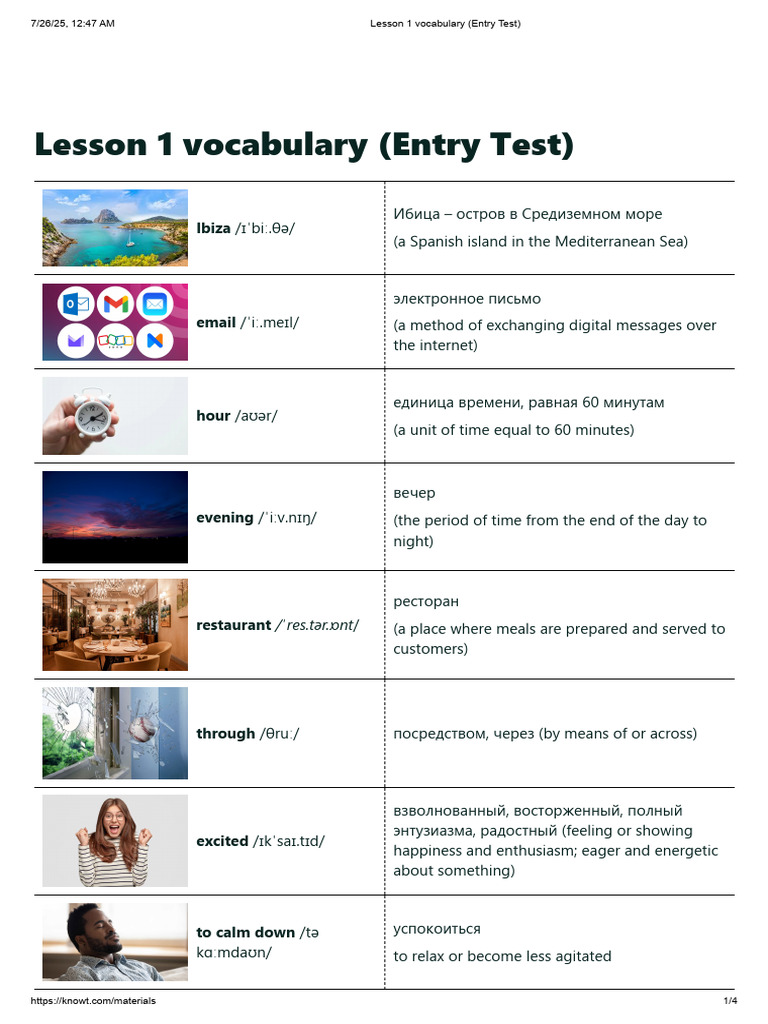 Lesson 1 Vocabulary (Entry Test) | PDF