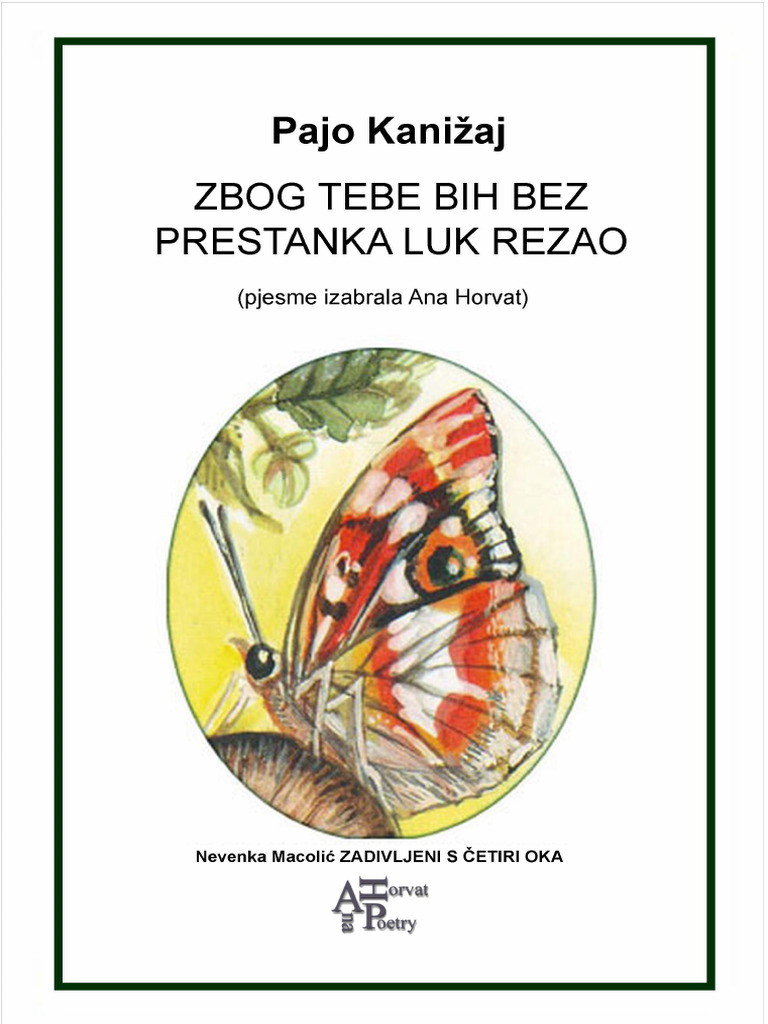 PDF Pajo Kanizaj | PDF