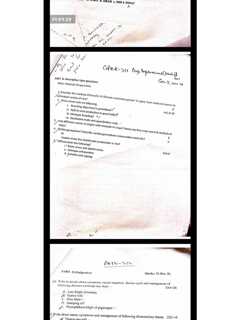 PYP | PDF