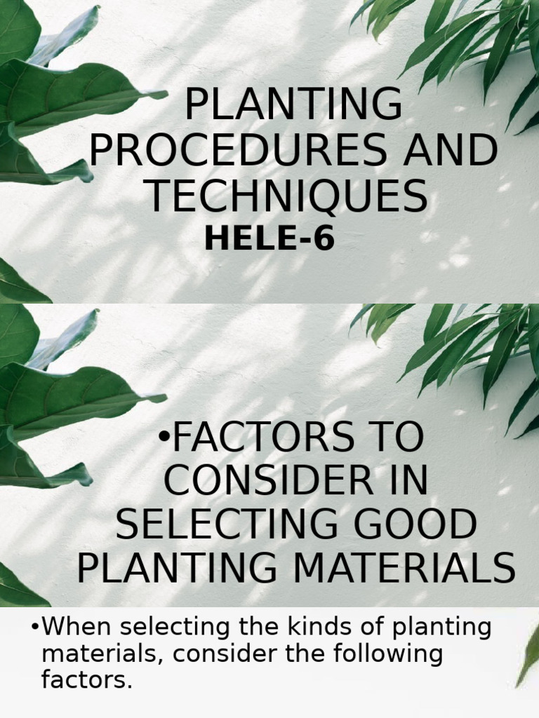 Planting Procedures and Techniques | PDF