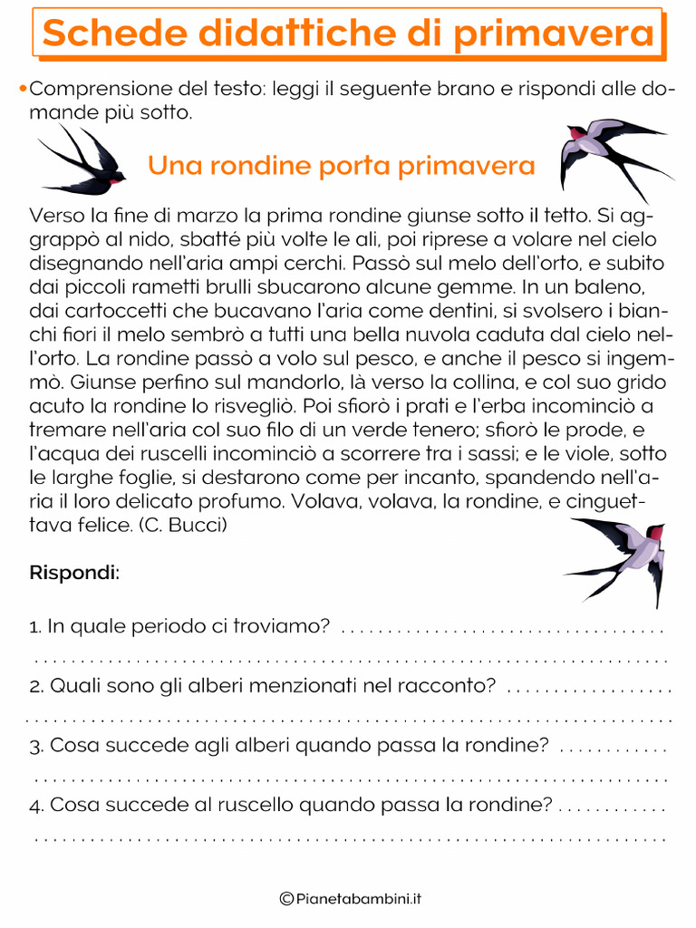 Una Rondine Porta Primavera - Lettura e Comprensione | PDF