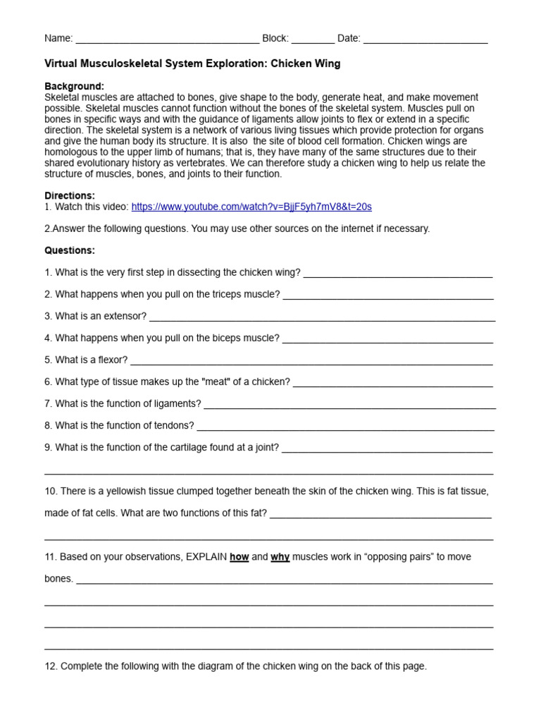 Virtual Chicken Wing Lab | PDF | Skeleton | Limbs (Anatomy)