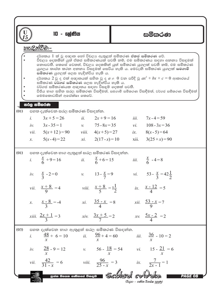 Algebraic Equations Practice Problems | PDF