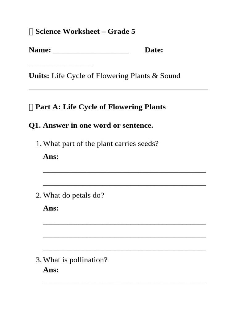 ? Class 4 Science Worksheet 4 | PDF | Flowers | Petal