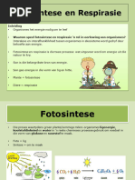 3 Voedselkettings en Voedselwebbe | PDF