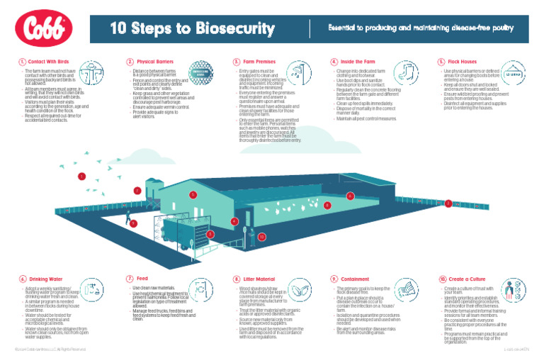 2024-COBB Biosecurity Infographic FINAL | PDF | Disinfectant | Drinking ...