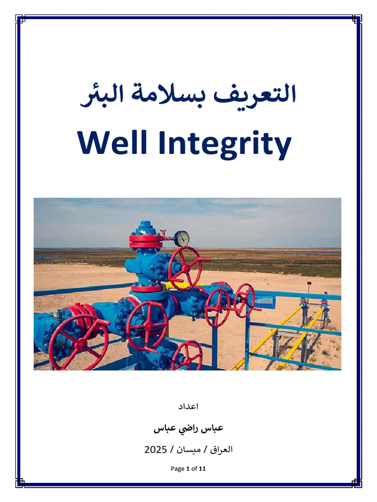 Well Integrity | PDF