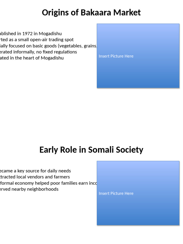 Bakaara Market Advanced Presentation | PDF | Somalia | Mogadishu