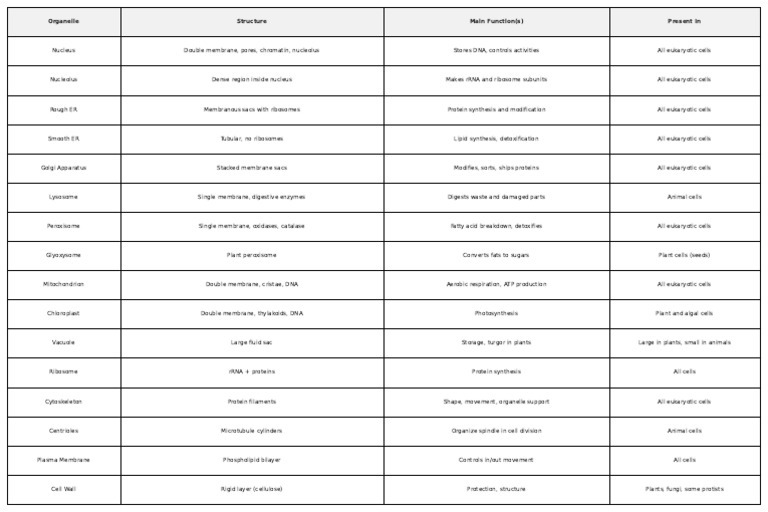 Cell Organelles and Their Functions Chart | PDF