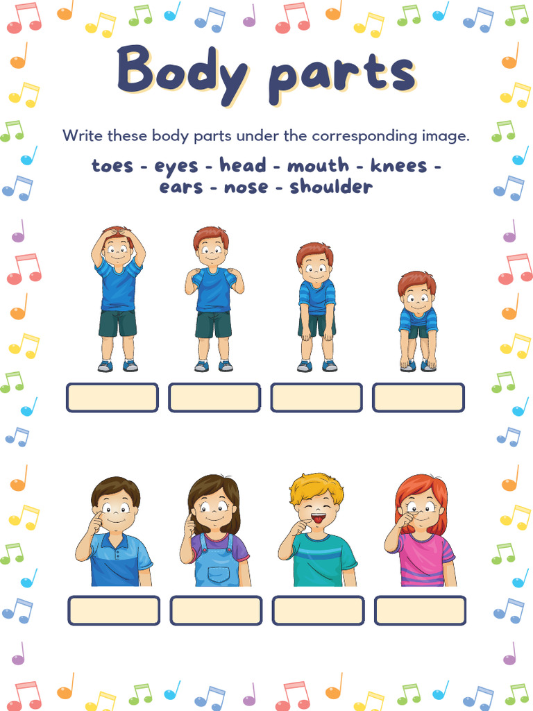 Body Parts Song Worksheet | PDF