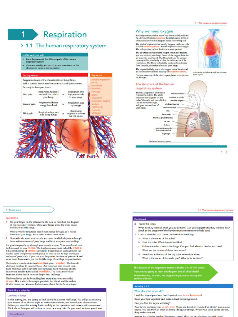 Chpater 1 | PDF