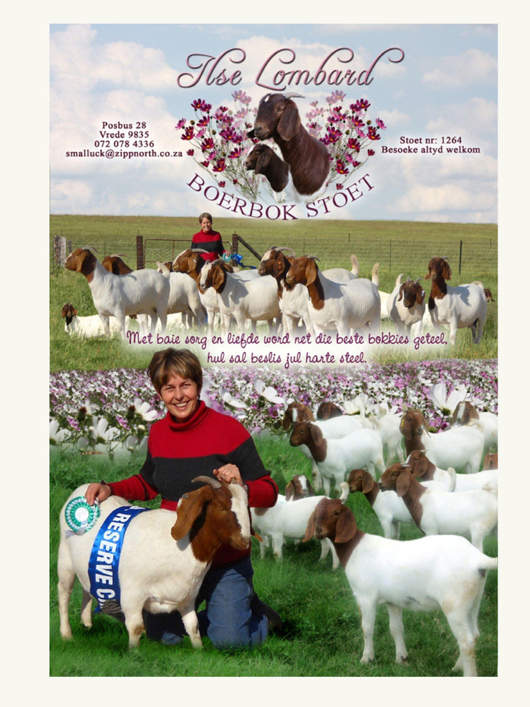 Boerbok Bestuursboek | PDF