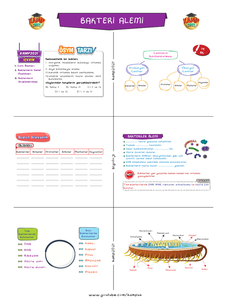9KAMP 2021 Bakteriler Alemi) | PDF