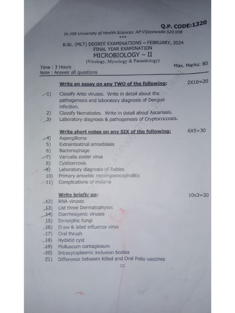 BSC MLT 3rd Year Question Paper 2024 | PDF