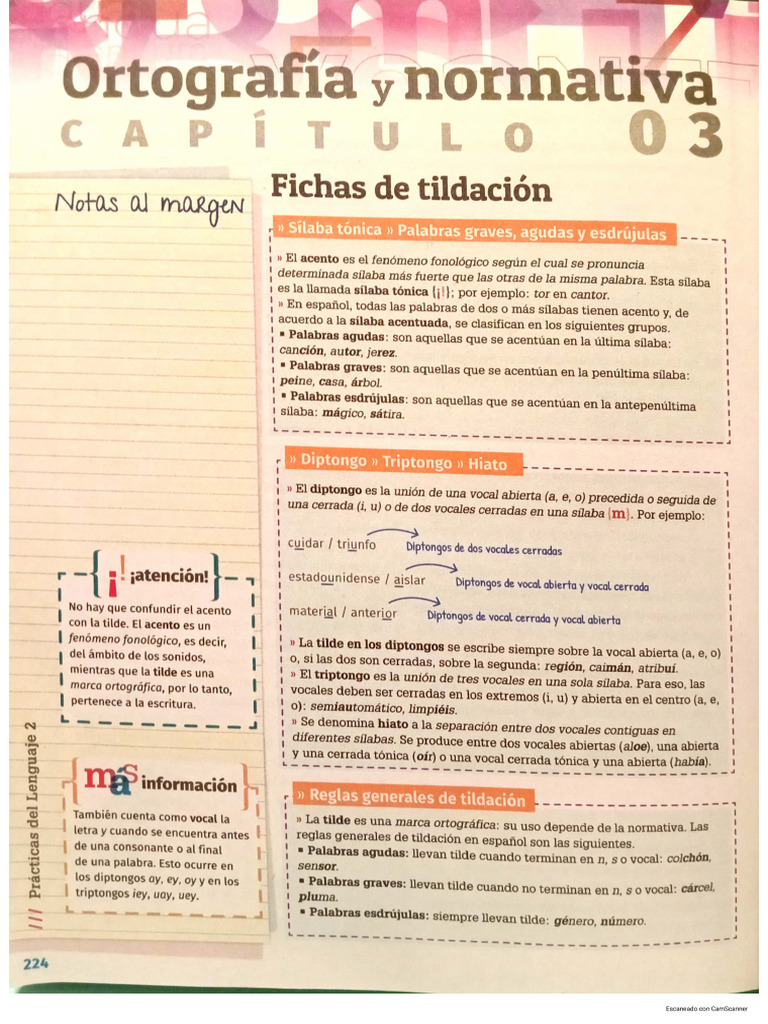 Fichas de Ortografía y Normativa | PDF