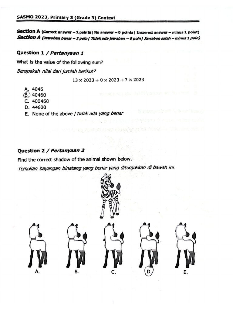 Sasmo 2023 P3 | PDF