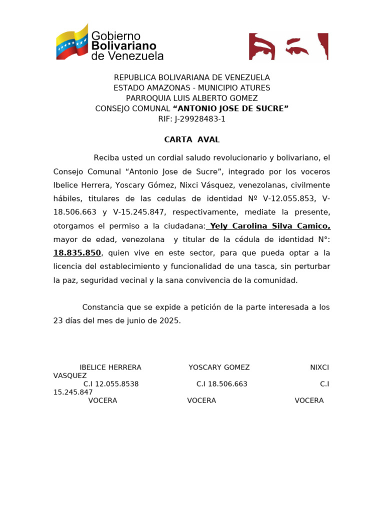 Carta Aval | PDF