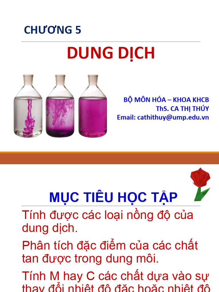 Duoc - Dung Dich | PDF