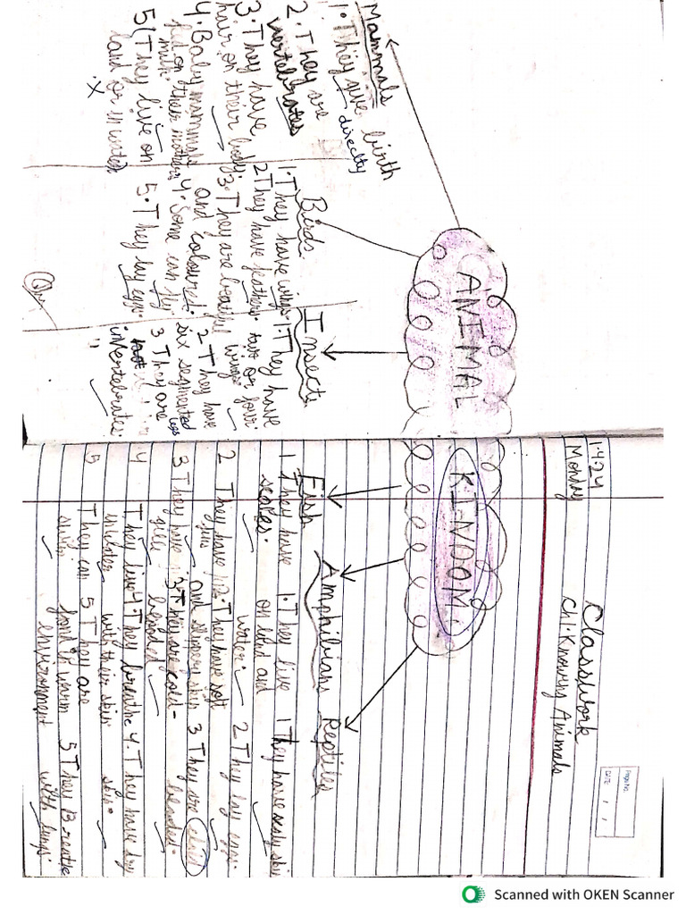 Science Work | PDF