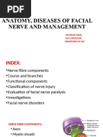 House-Brackman Scale (Facial Nerve Palsy) : Grade I | PDF