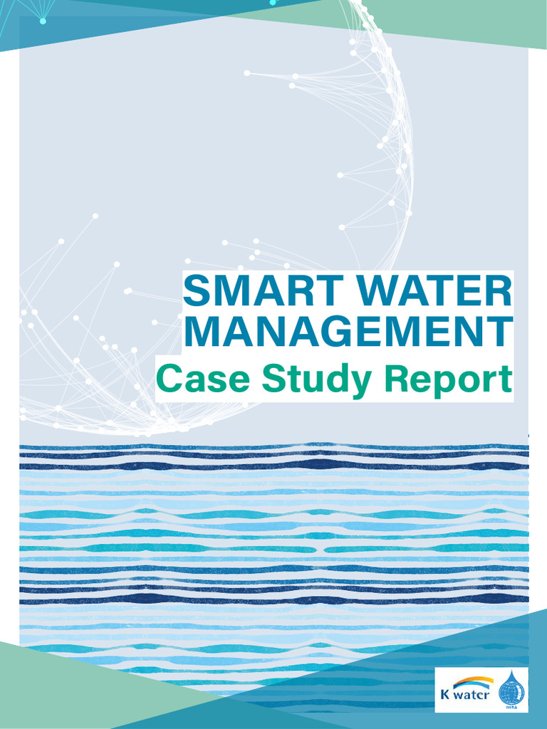 SWM Report Final Web | PDF | Water Resources | Wash