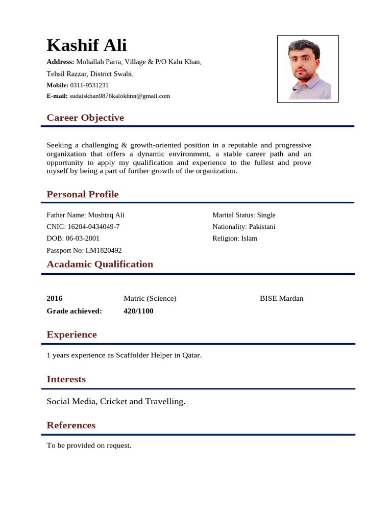 Ahmad Raza CV | PDF